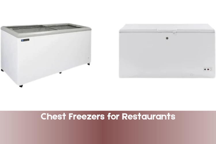 Different Class of Chest Freezers for Restaurants